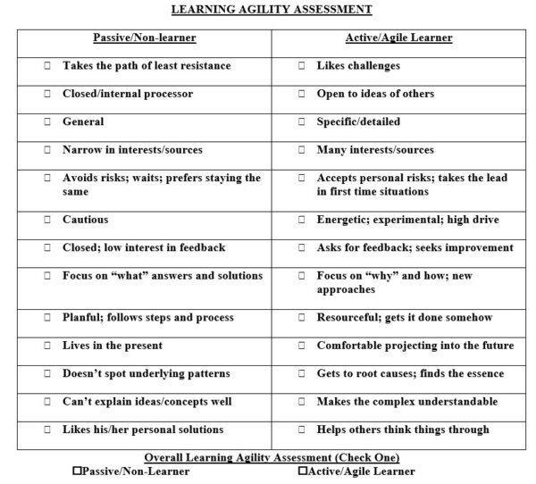 Learning Agility: The Leadership Key to Navigating Permanent Whitewater ...